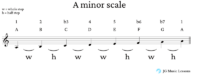 How to play the A minor scale on guitar (5 shapes with tabs) - JG Music ...